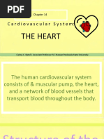 Anatomy and Function of the Heart | PDF | Heart Valve | Atrium (Heart)