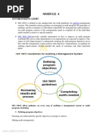 ISCC Audit Guidance V1.0 | PDF | Audit | Risk Assessment