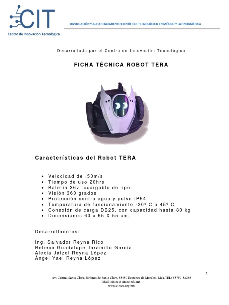 Ficha TERA | PDF