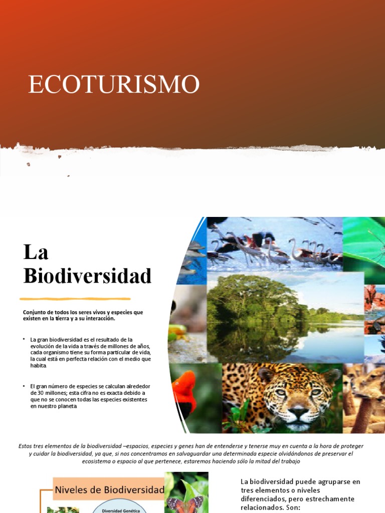 4 Ecoturismo | PDF | Organismos | Ecosistema
