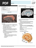 Dolls Eye Movement | PDF | Vestibular System | Nervous System