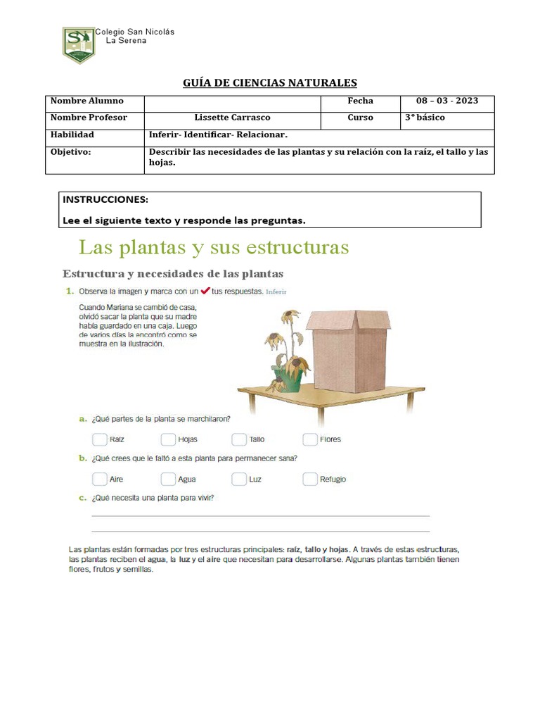 Estructuras y Necesidades de Plantas | PDF