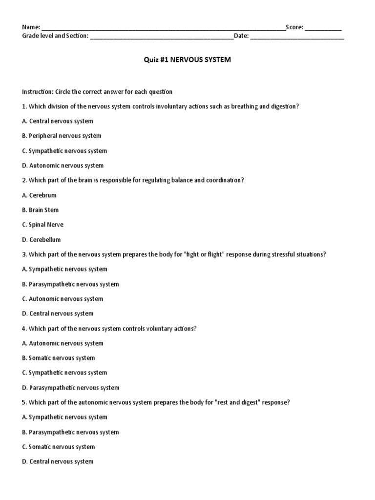 Nervous System Quiz Answer Key | PDF | Central Nervous System | Nervous ...