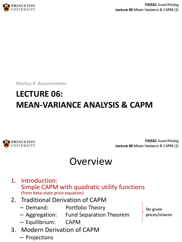 Capm PDF | PDF | Modern Portfolio Theory | Capital Asset Pricing Model