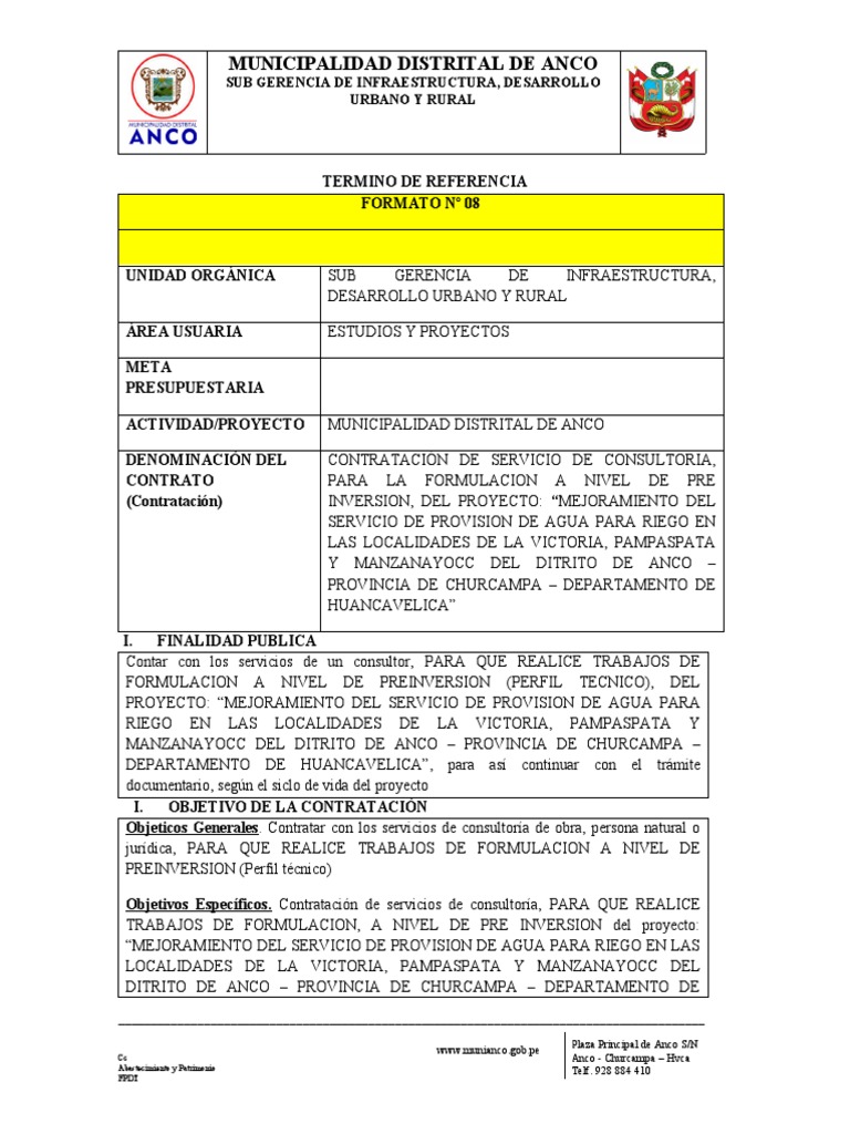 Formato-Tdr-Consultoria La Victoria | PDF | Infraestructura | Economias