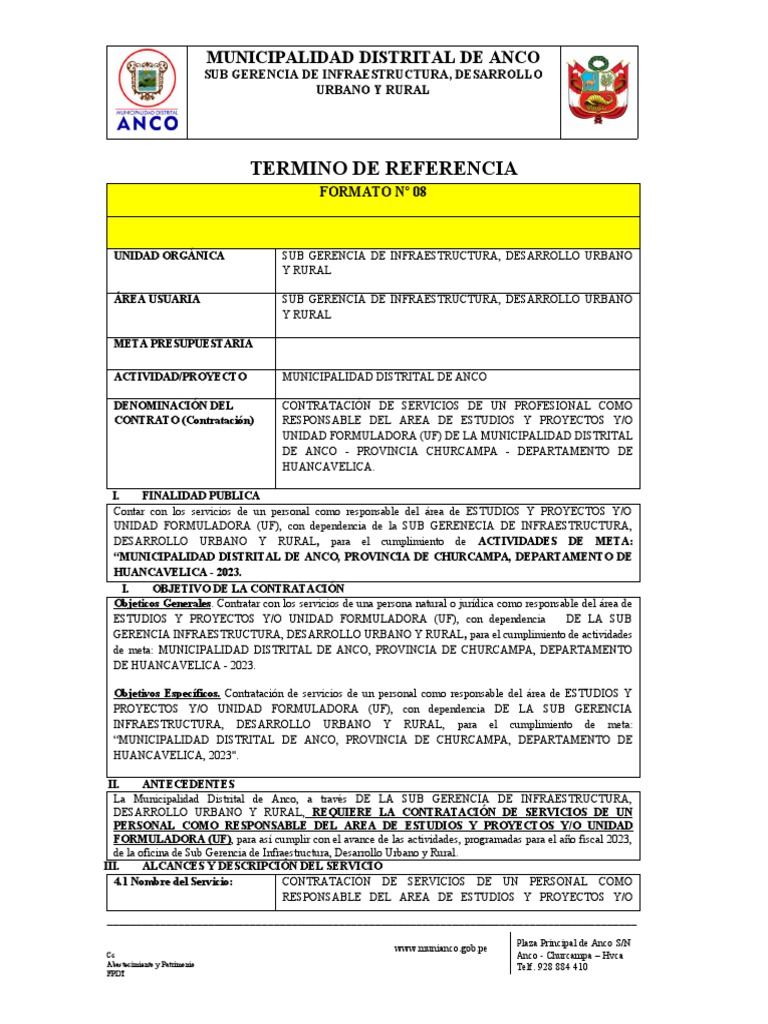 Formato-Tdr-Servicio Uf | PDF