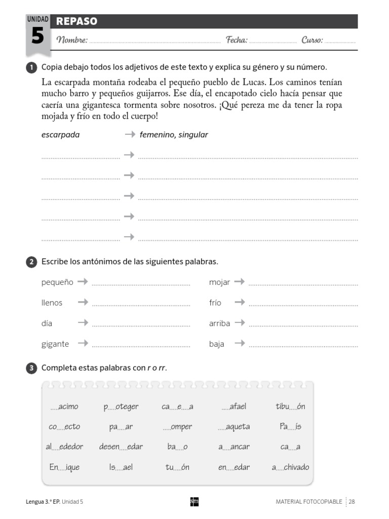 tema 5 lengua sm | PDF | Adjetivo | Gramática