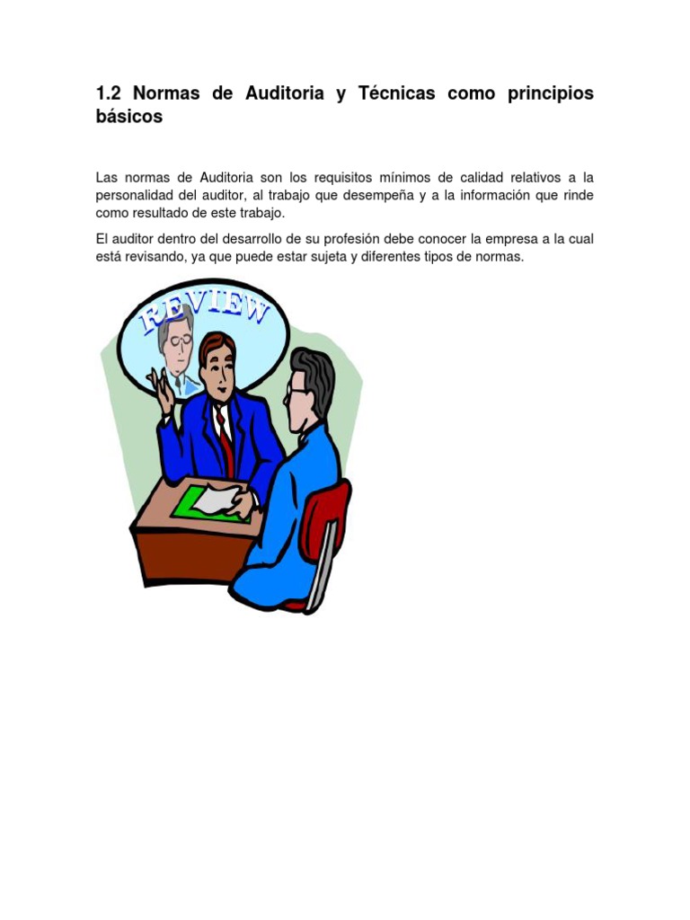 Normas de Auditoría y Principios Básicos | PDF | Auditoría | Contabilidad