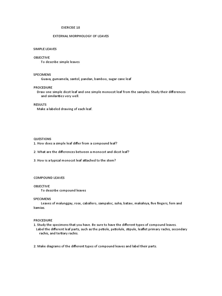 EXERCISE 18 Botany Lab | PDF | Leaf | Botany