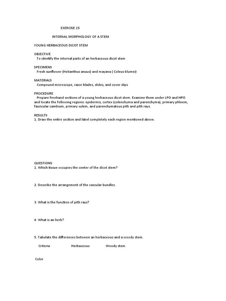 EXERCISE 15 Botany Lab | PDF | Plant Stem | Botany