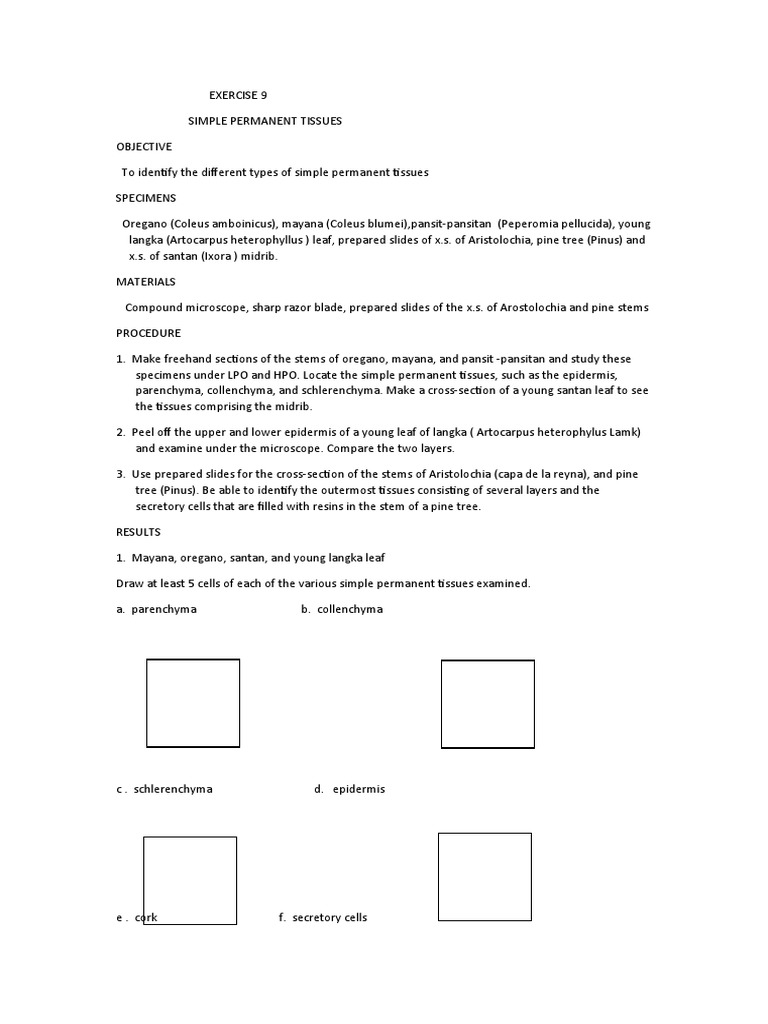 EXERCISE 9 and 10 Botany Lab | PDF | Plant Stem | Leaf
