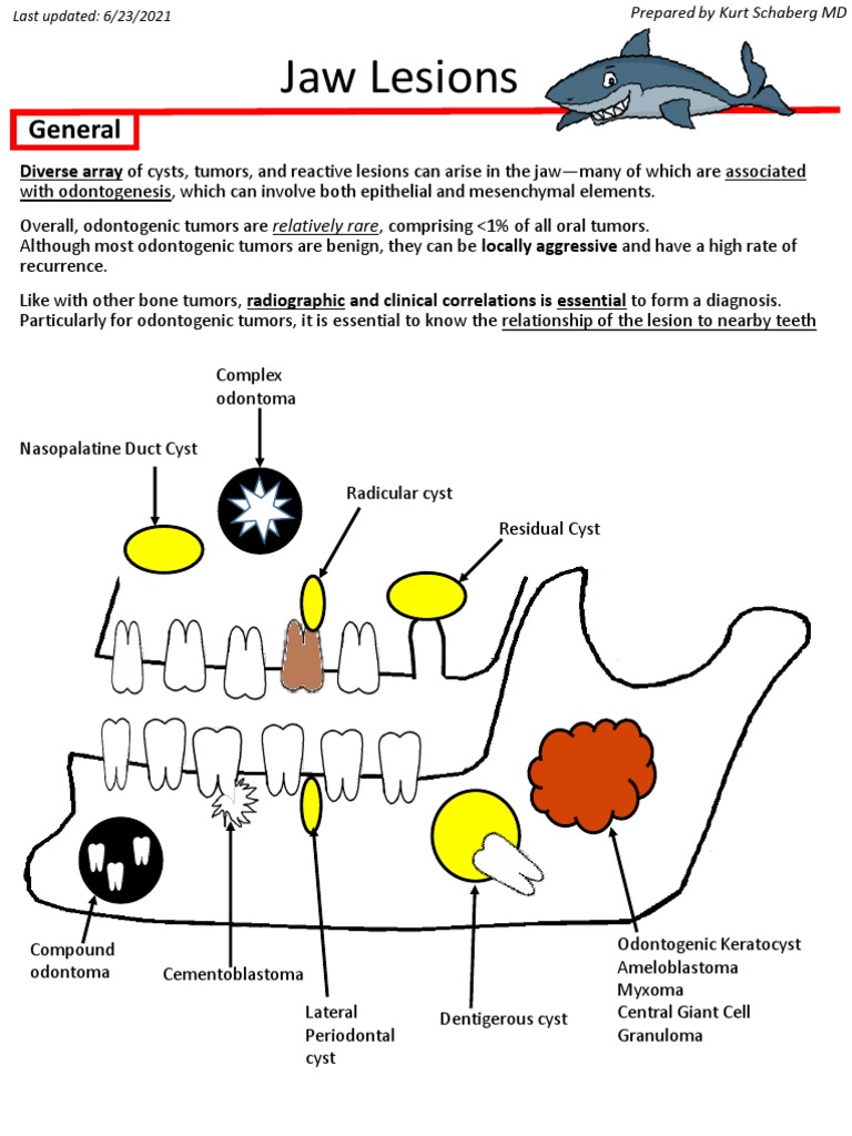 Jaw Lesions | PDF | Science & Mathematics