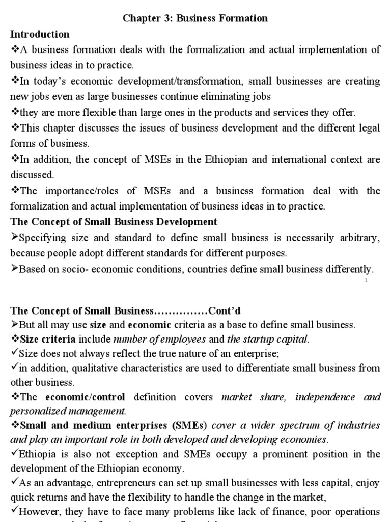 Entrepreneurship CH 3 | PDF | Entrepreneurship | Business