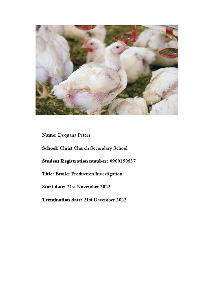 Broiler Production Growth Analysis | PDF | Broiler | Meat