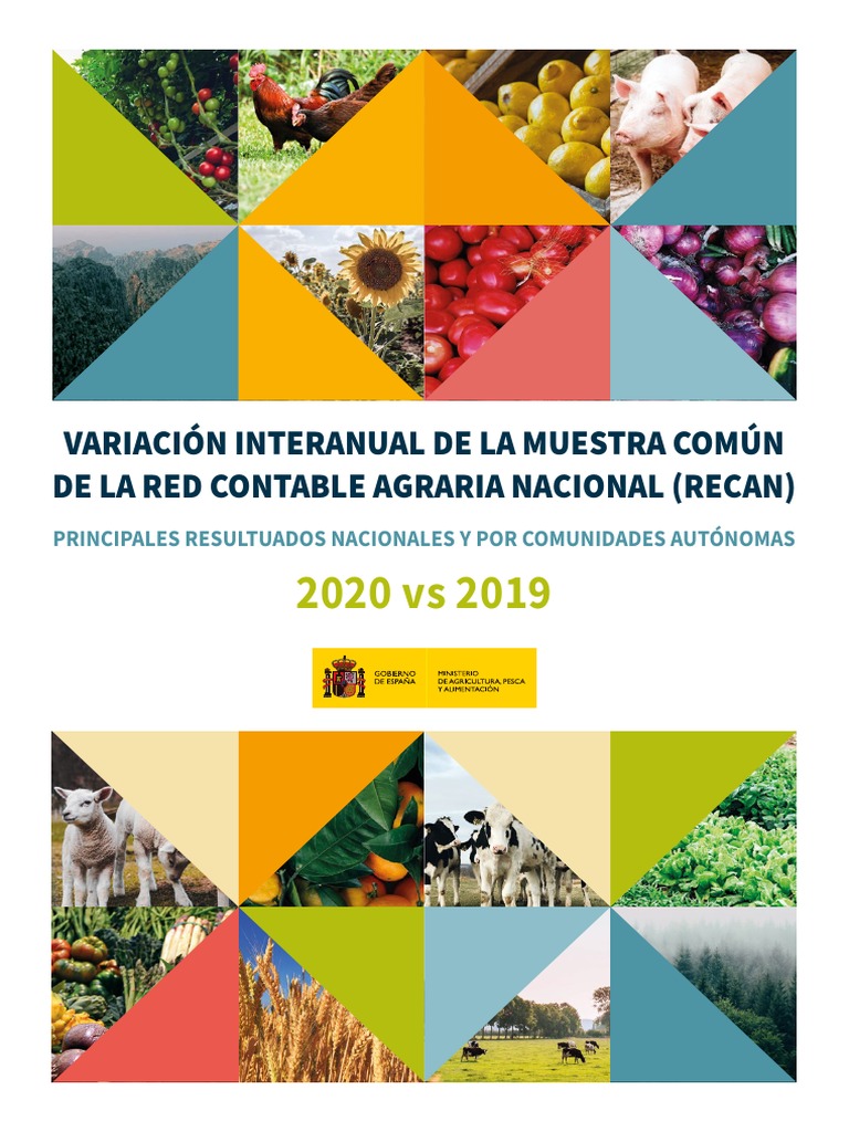 Recan 2020 Vs 2019 Vers Maquetacion Def 30sept2020 tcm30-623322 | PDF ...