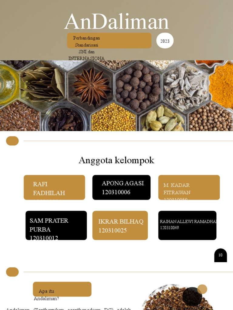 Macam macam rempah | PDF