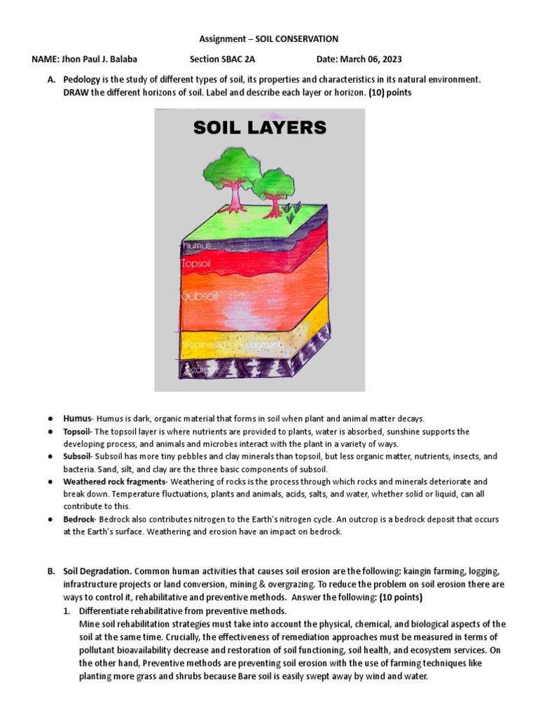 Assignment Soil Conservation | PDF | Soil | Agriculture