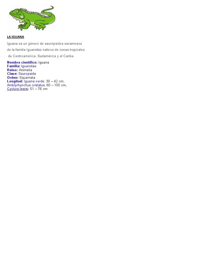 La Iguana | PDF