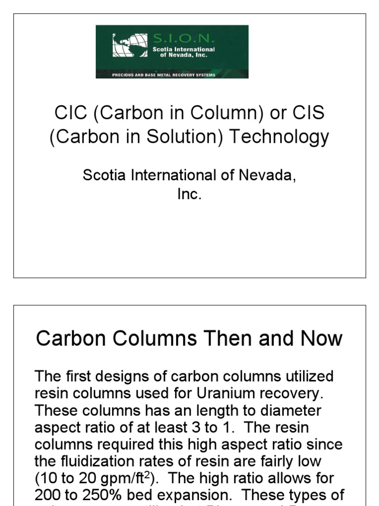 CIC (Carbon in Column) or CIS | PDF | Fluidization | Gold