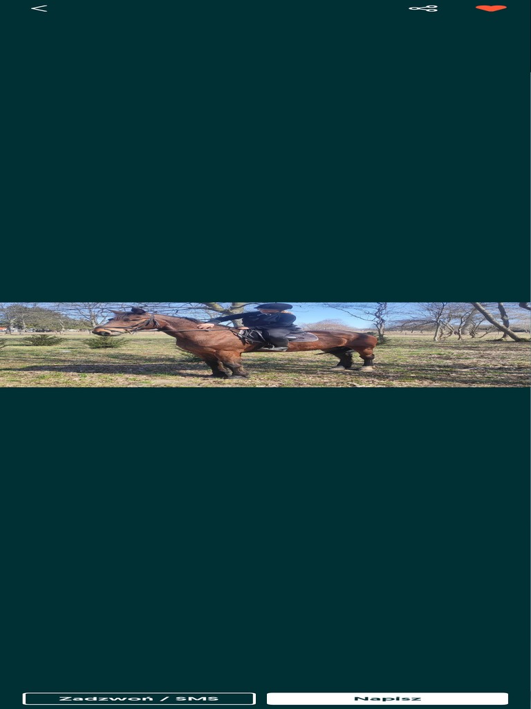 Klacz - Konie - OLX - PL | PDF