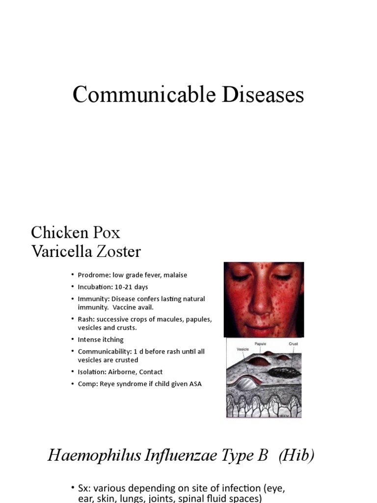 Communicable Diseases PowerPoint - Student | PDF