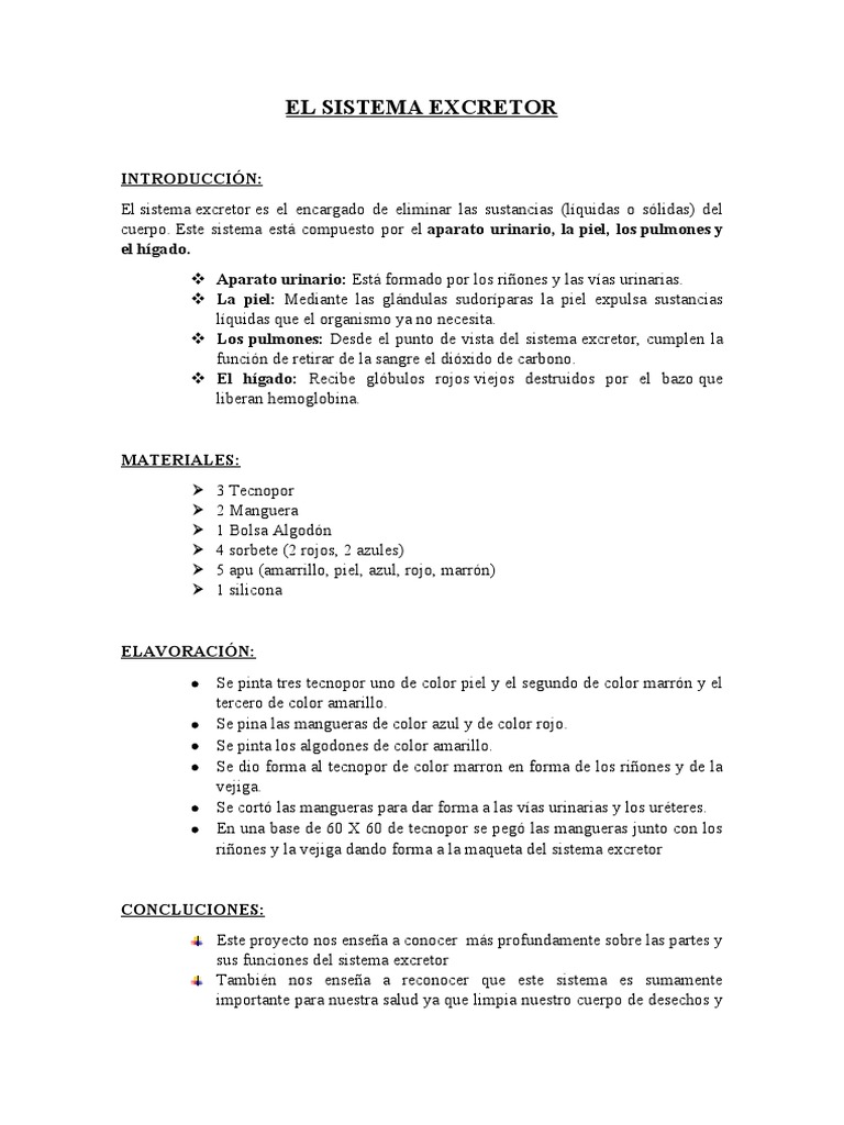 El Sistema Excretor Pdf