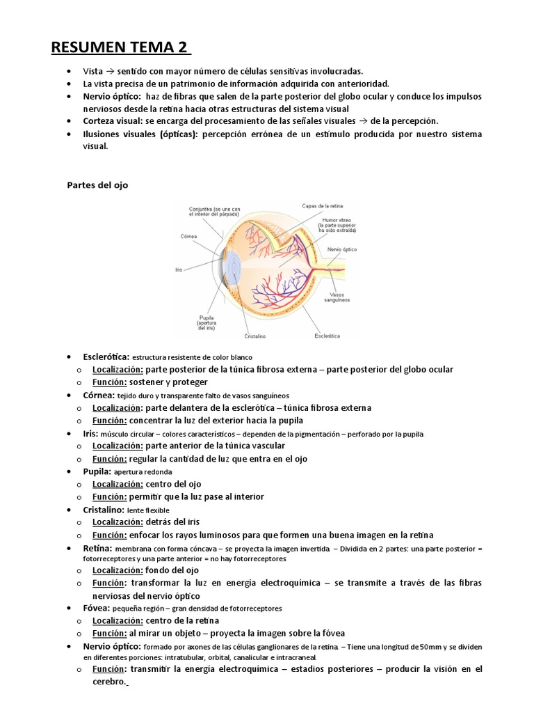 Resumen Tema 2 Psico Percepción Uoc | PDF | Percepción visual | Color