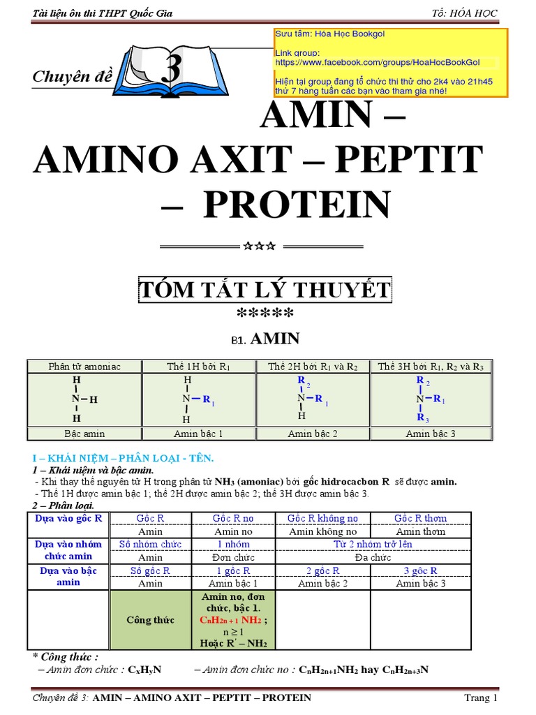 Chuyên đề 3 - AMIN - AMINO AXIT - PEPTIT - PROTEIN PDF | PDF