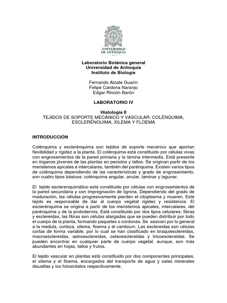 Laboratorio IV - Histología II PDF | PDF | Tallo de la planta | Botánica