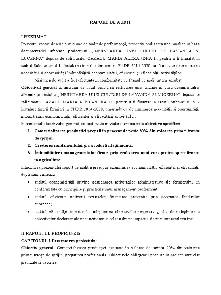 Raport de Audit Final | PDF