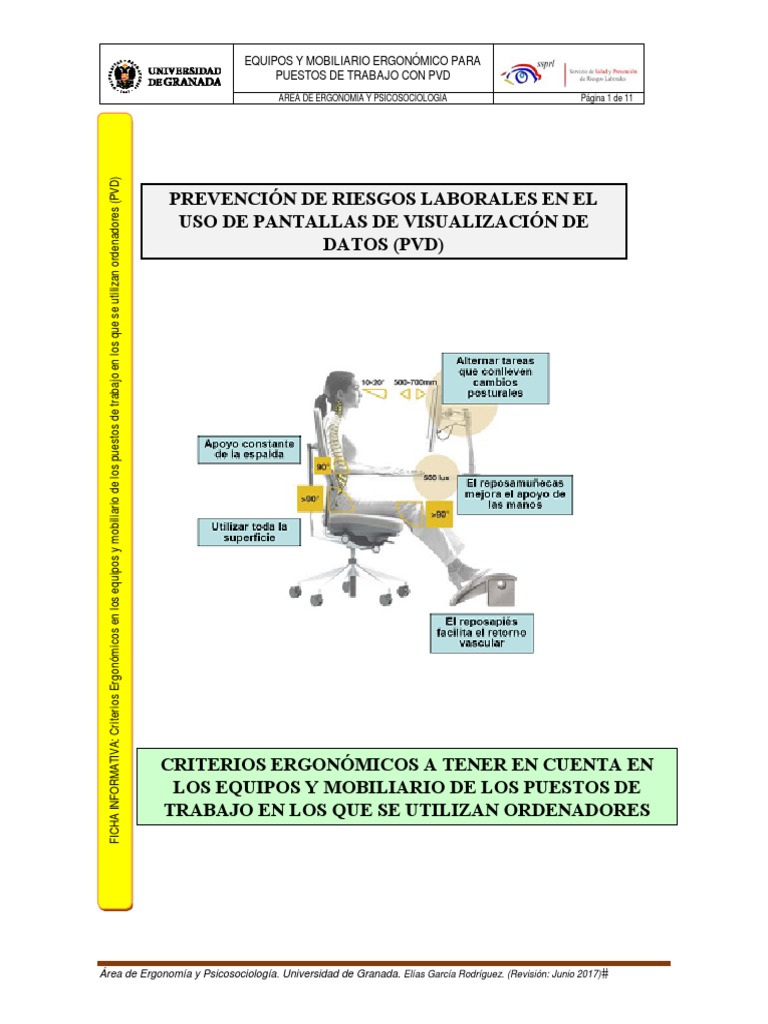 Prevención de Riesgos Laborales en El Uso de Pantallas de Visualización de Datos (PVD) | PDF ...