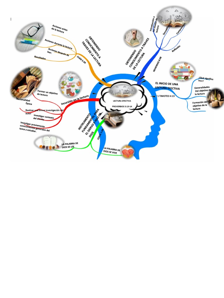 Mapa Mental PDF | PDF
