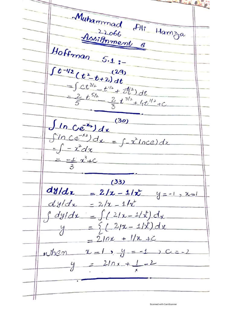 Calculus 7 Aasignment | PDF