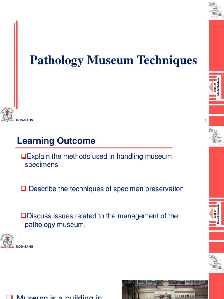 Introduction To Museum Techniques | PDF | Fixation (Histology) | Pathology