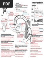 Geography Grade 12 CLIMATE and WEATHER Notes 2023 | PDF | Tropical ...