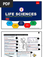 Life Sciences in Black and White 2021 Silaule SJ Sample Study Notes ...