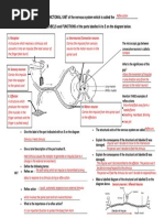 4.1 One Pager Eye - MEMO PDF | PDF | Eye | Human Eye