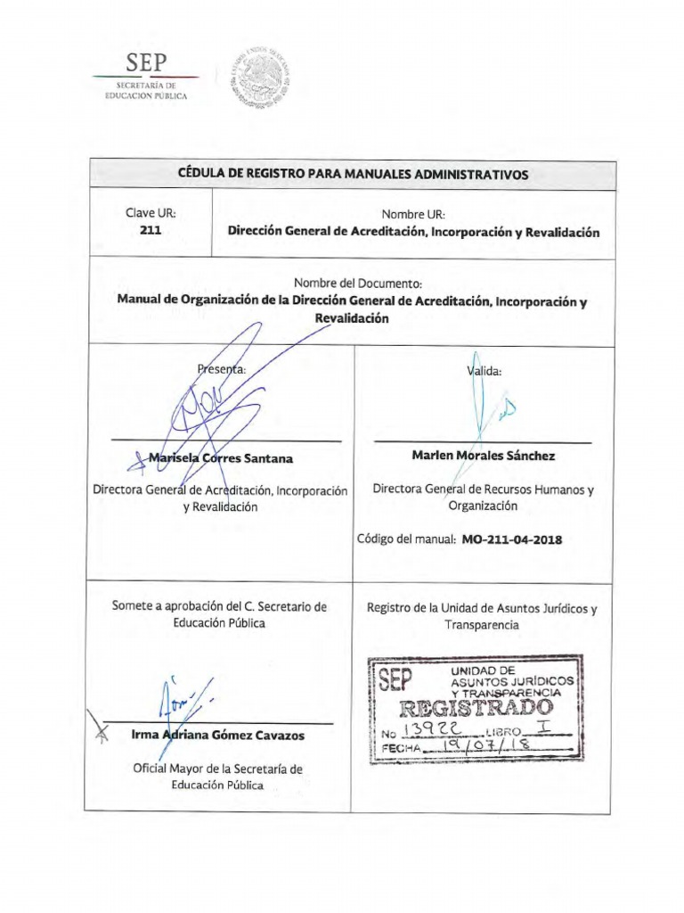 Manual - Organizacion DGAIR | PDF