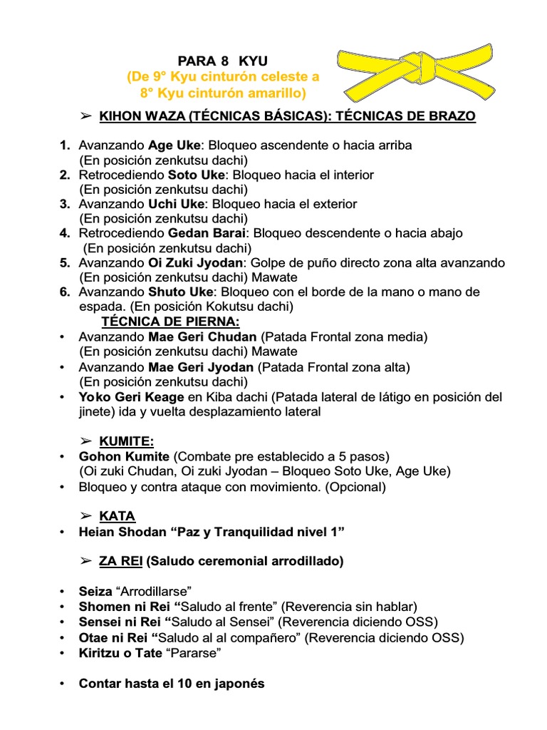 Técnicas y Katas para 8° Kyu | PDF | Relaciones personales, crianza y desarrollo personal ...