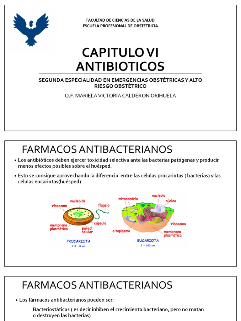 Capitulo Vi Antibioticos | PDF