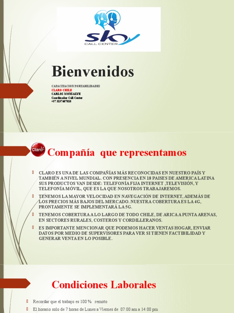 Capcitacion Sky Call Center | PDF | Industrias de servicio ...