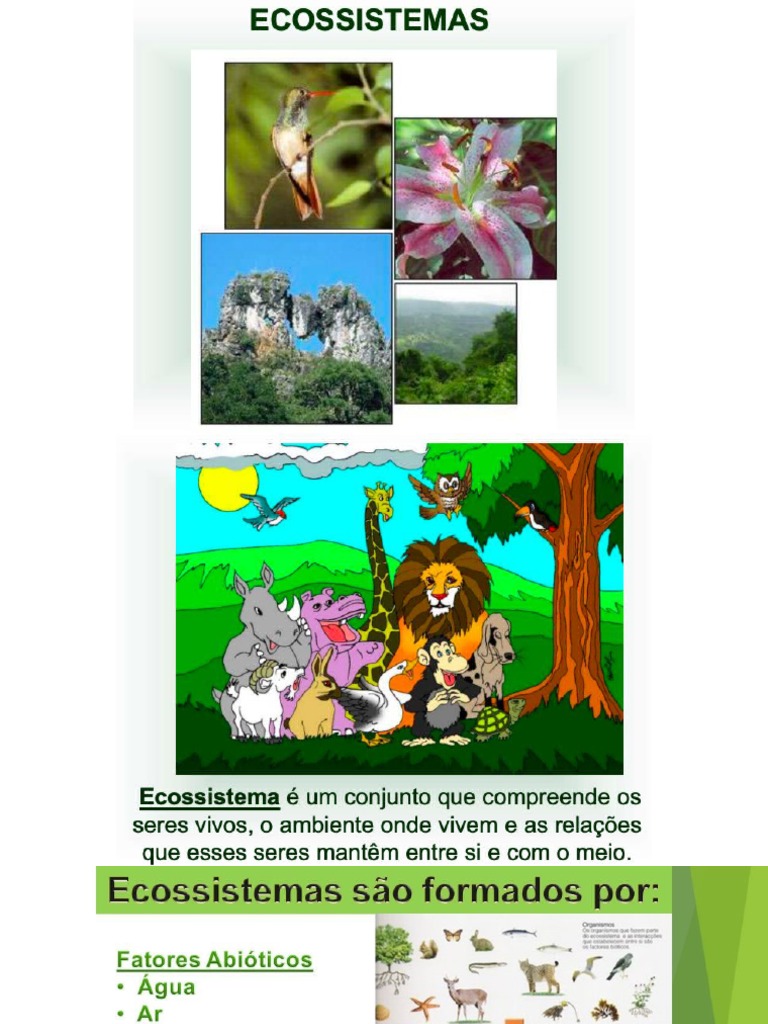 Ecossistema | PDF