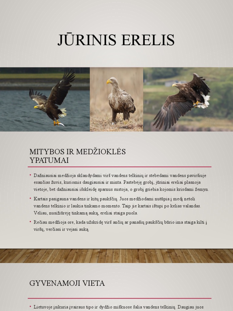 Jūrinis Erelis | PDF