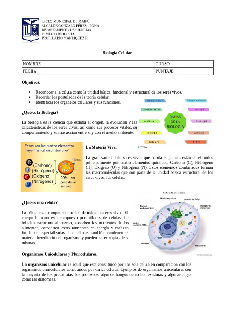 1ero Biología Celular PDF | PDF | Biología Celular) | Organismos