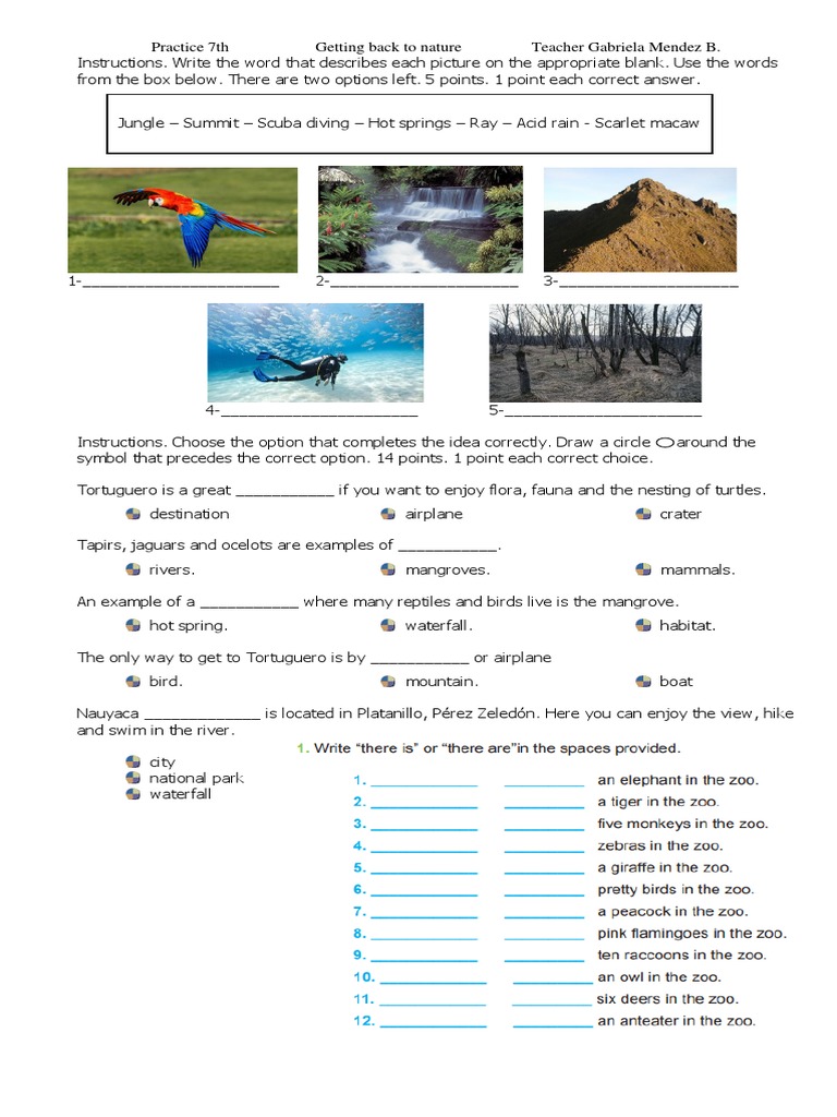 Practice Getting Back To Nature | PDF | Dolphin