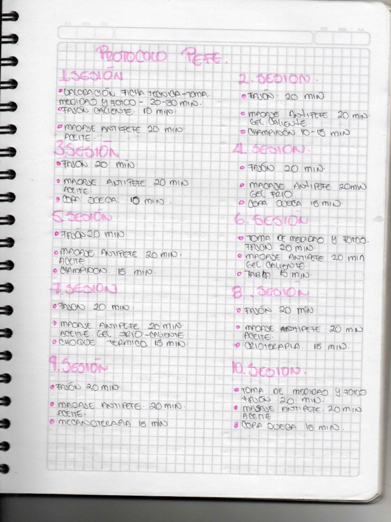 Pefe Protocolo | PDF