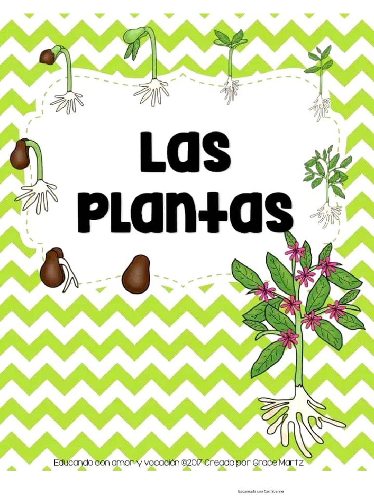 Las Plantas-1 | PDF
