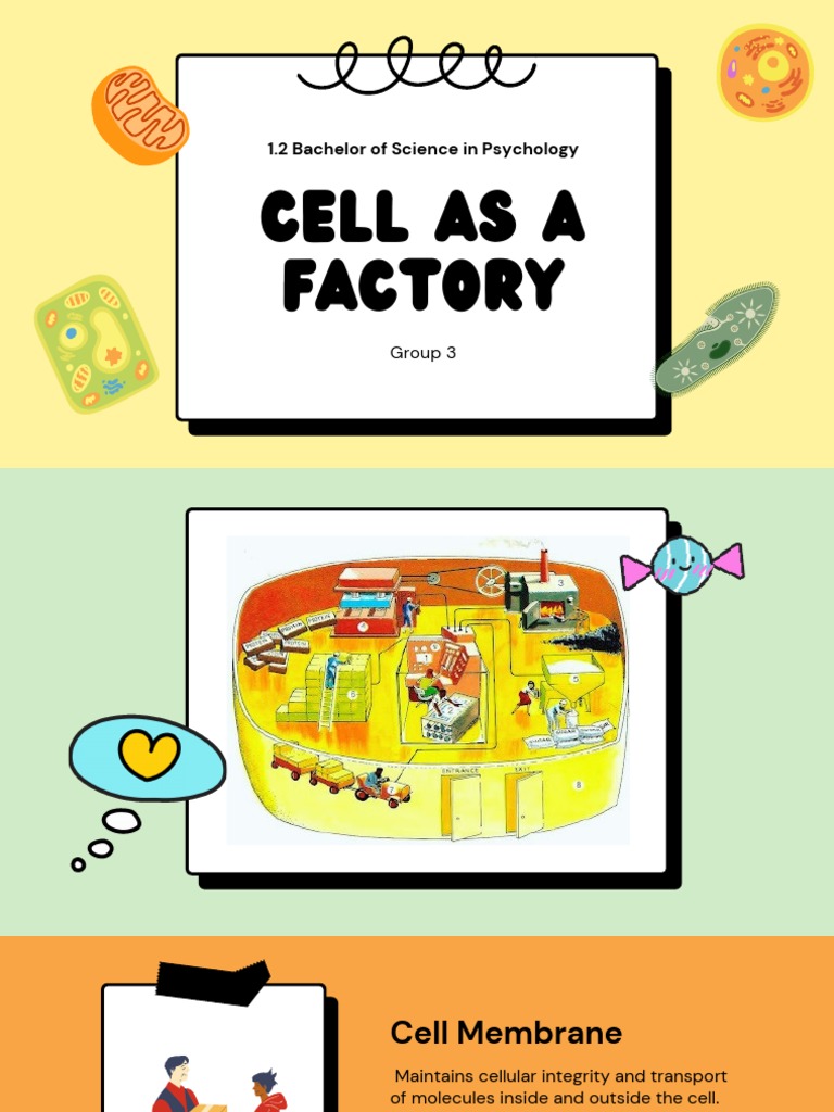 Cell As A Factory | PDF | Cell (Biology) | Ribosome