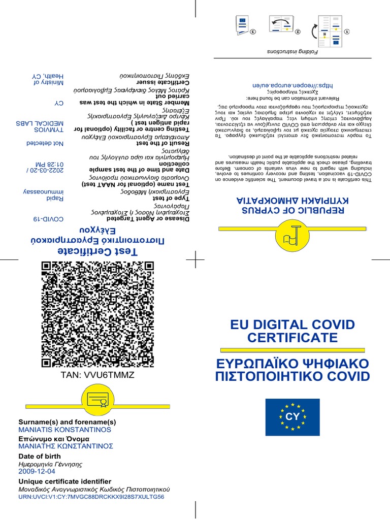 Rapid Test PDF | PDF