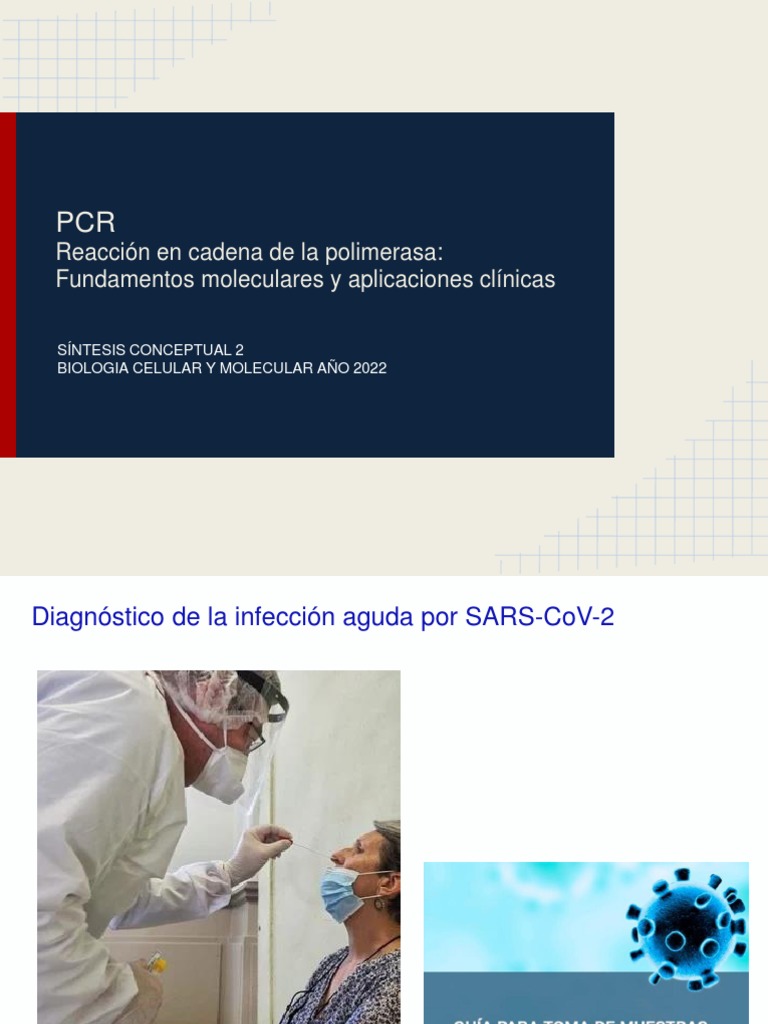SC2 - 2022 Técnica de PCR - Fundamentos y Aplicaciones | PDF | Reacción ...